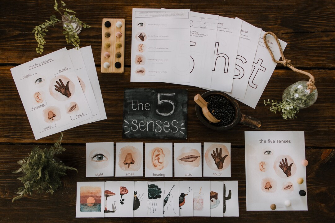 The Five Senses // Learning + Activity Bundle - Etsy