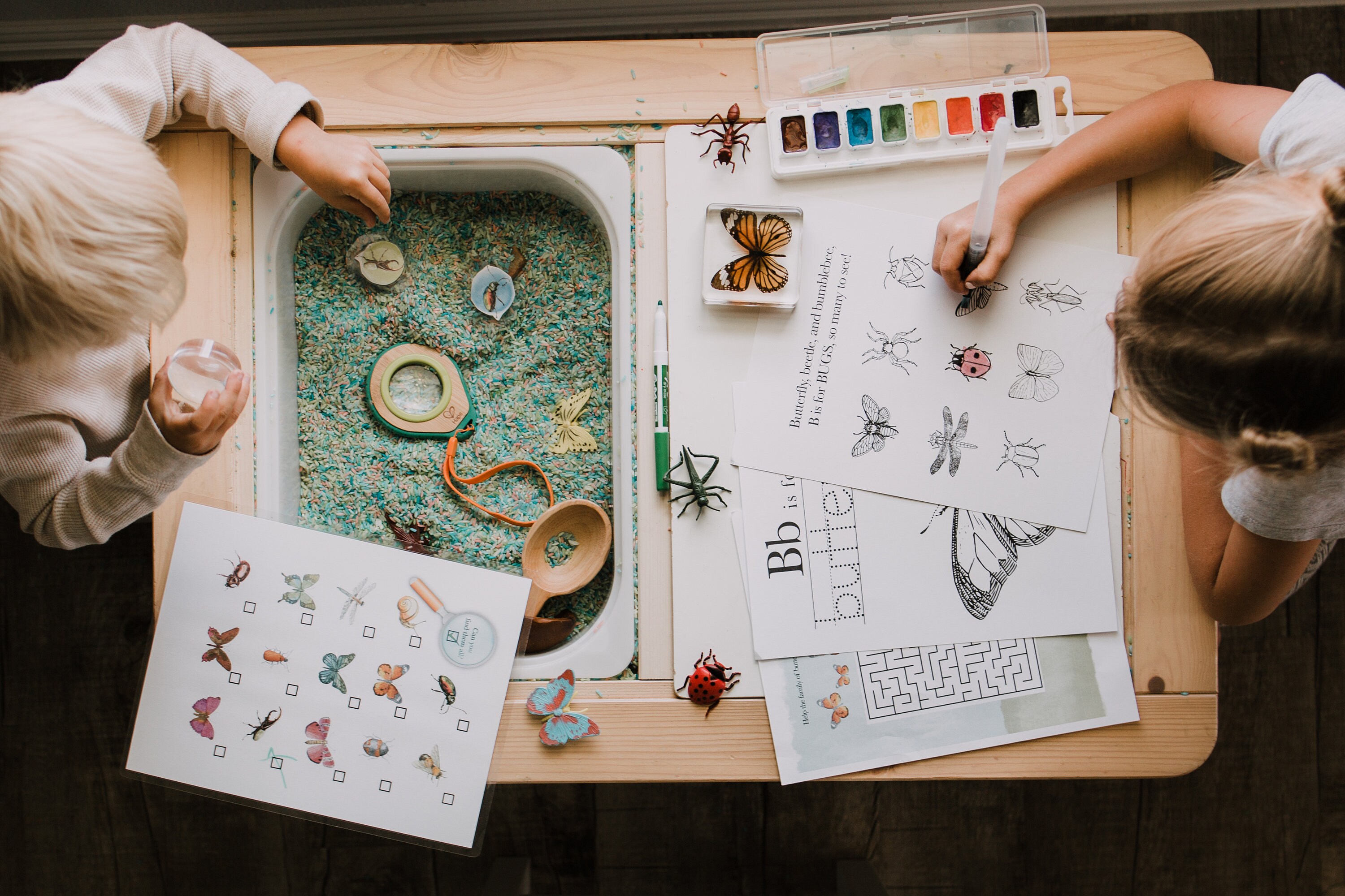 Sensory Seek & Find Activity Bundle // Insects | Etsy