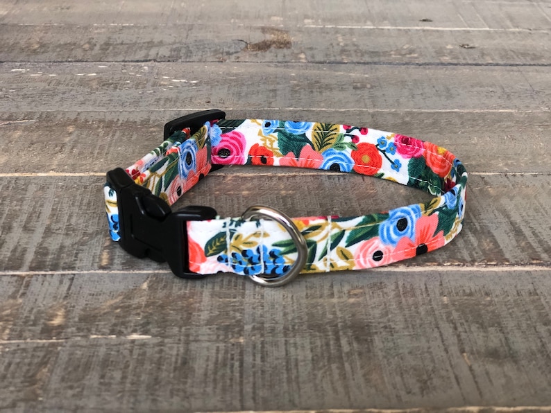 Floral Dog Collar, Summer Dog Collar, Rifle Paper Co Dog Collar, Girl ...