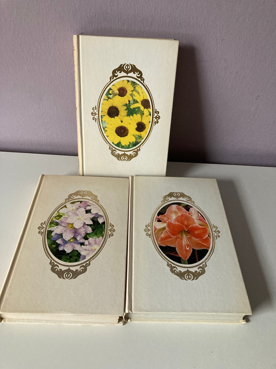 Set of 3 Woman's Club Books. Decorative Old Books. Odhams Books London ...
