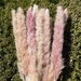 Tail Reeds, DIY Floral Arrangements, Dried Flowers, Wedding Decor, Home ...
