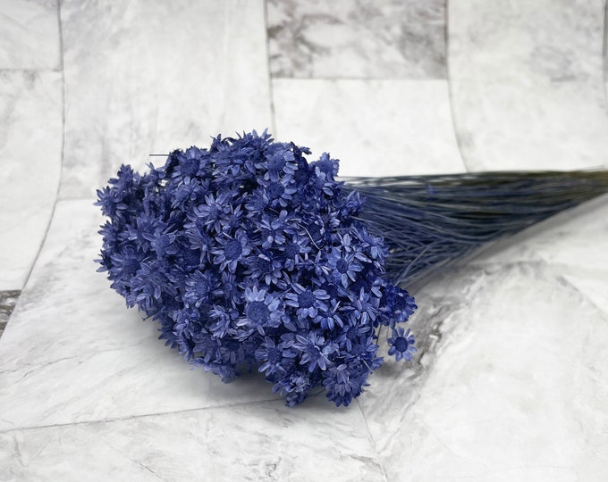 Cobalt Blue Star Flower Blossom Floral Arrangement Dried Flower ...