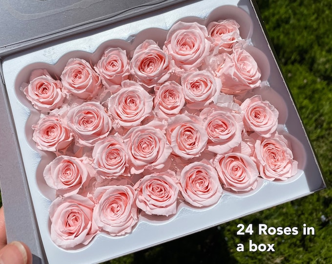 Bridal Pink Qty 24 Vivian Rose Preserved Roses Pink Roses - Etsy
