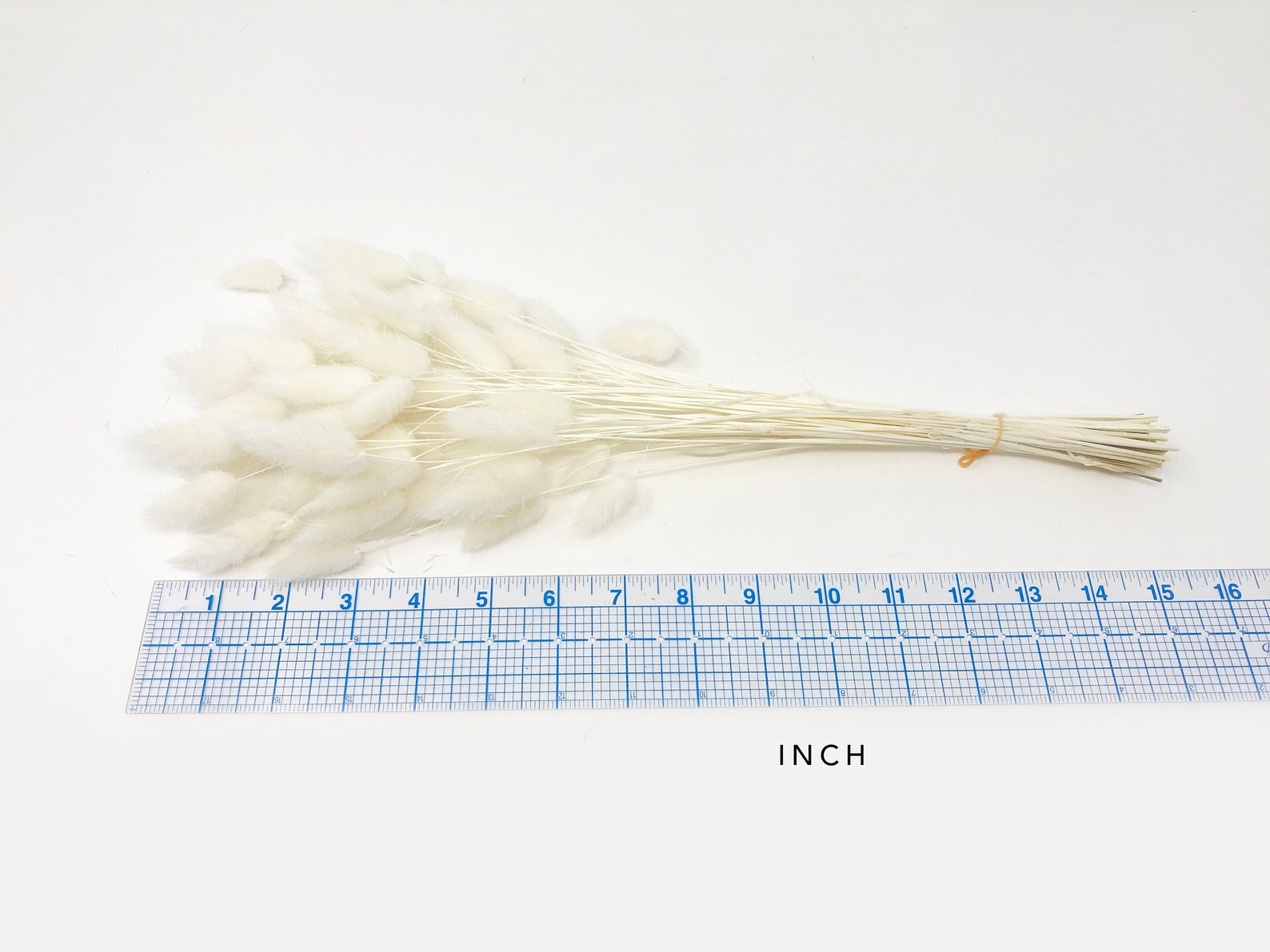 Bunny Tails / White Lagurus 15g Dried Flowers Floral - Etsy