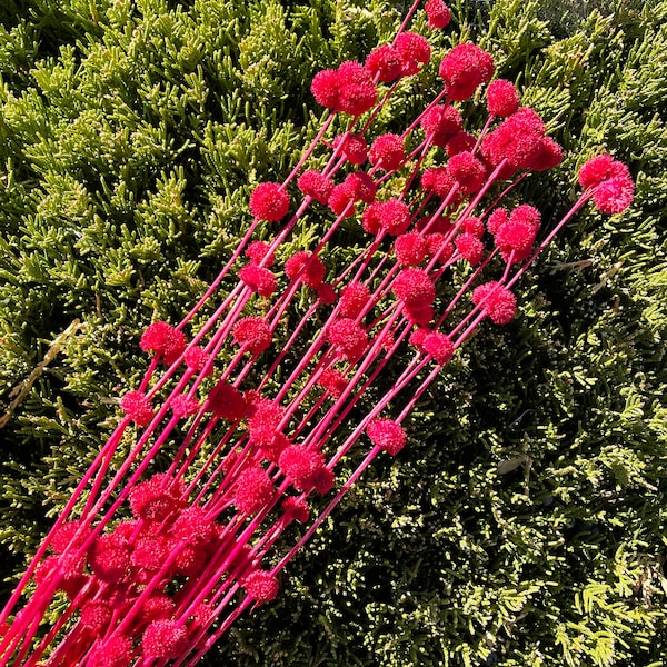 Red Flower Balls - Etsy