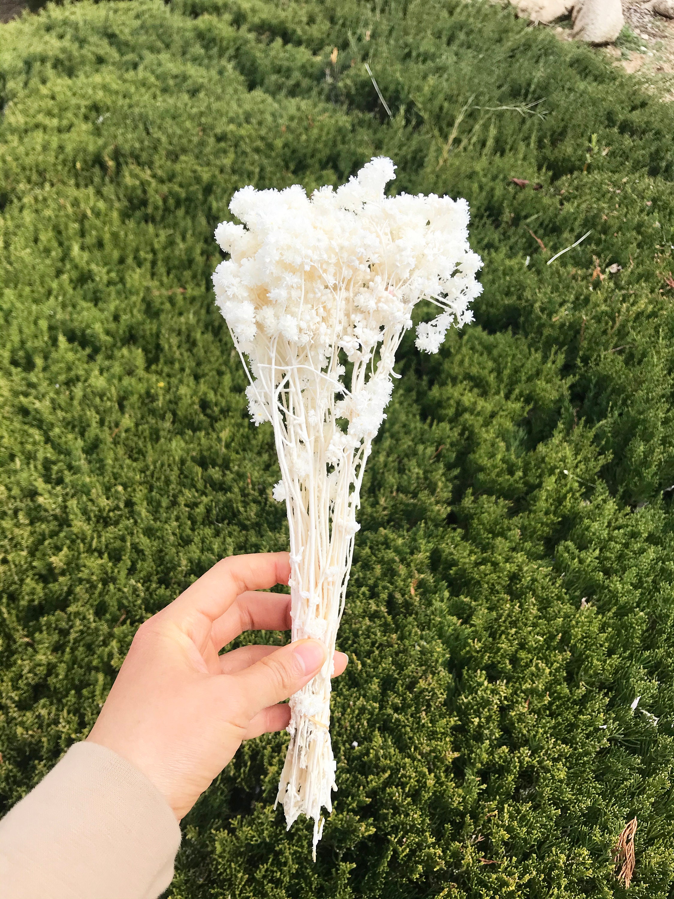 Crispum White Flower DIY Floral Arrangement Wedding Decor Home Flower ...