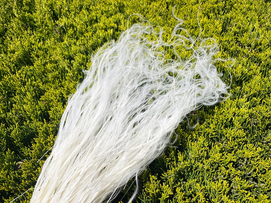 Stipa Feather Grasses White 12g DIY Home Decor Flower Vase Decor Floral ...