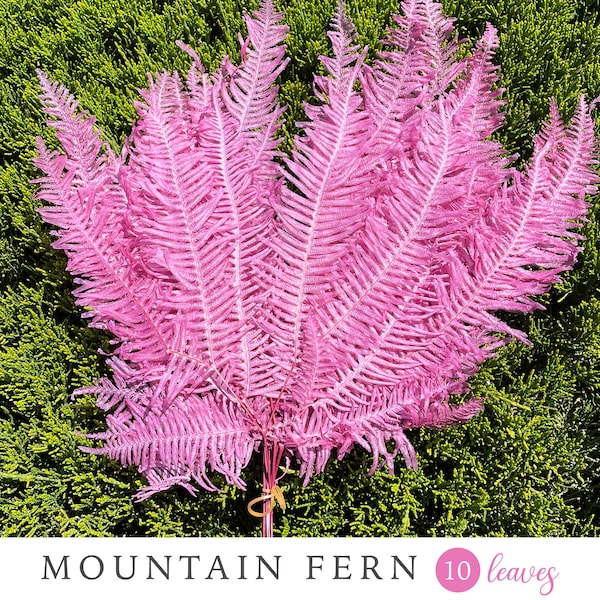 Wedding Home Decor - Etsy