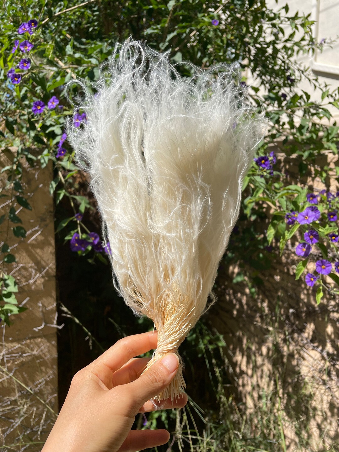 Stipa White Cream Feather Grasses Home Decor White Dry Flower Vase ...