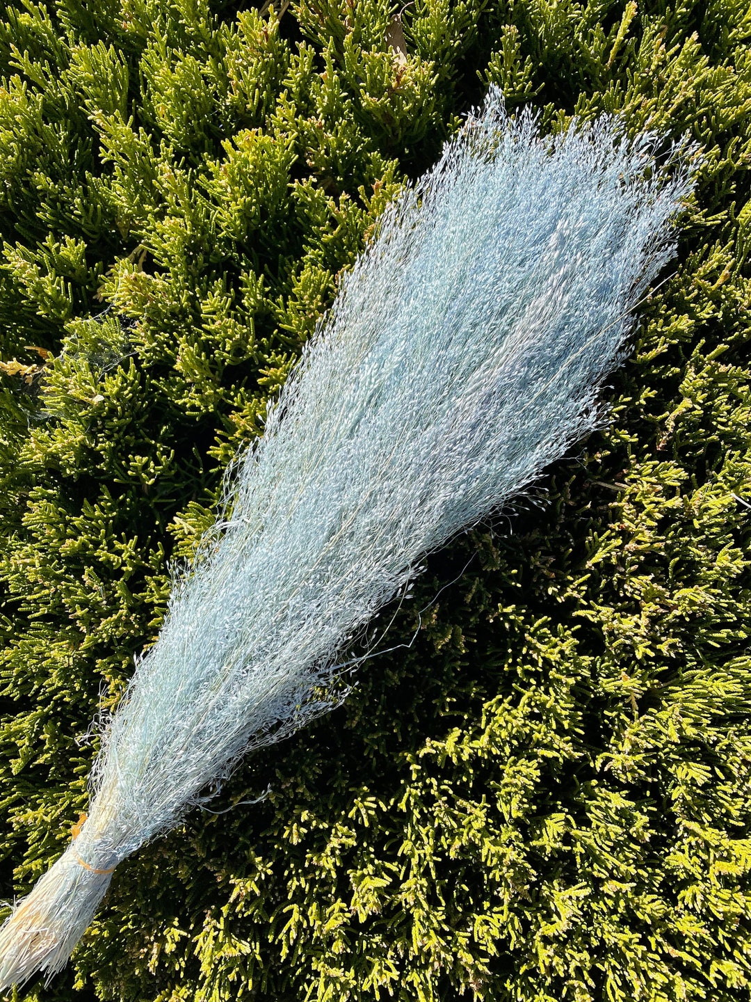 Light Blue Agrostis Flower Arrangement Blue Dried Flower Blue Stem ...