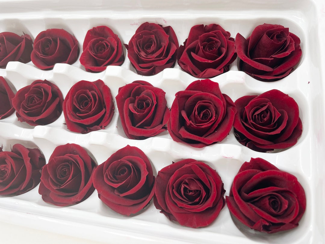 Wine Red Rose Small 21 Preserved Roses in a Box Wedding Decor Floral ...