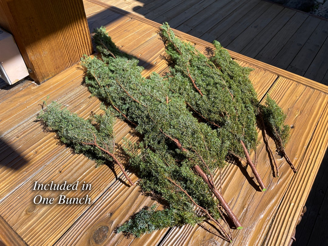 Preserved Sawara Cypress Wreath Green Frost Christmas Dried Flower Door ...