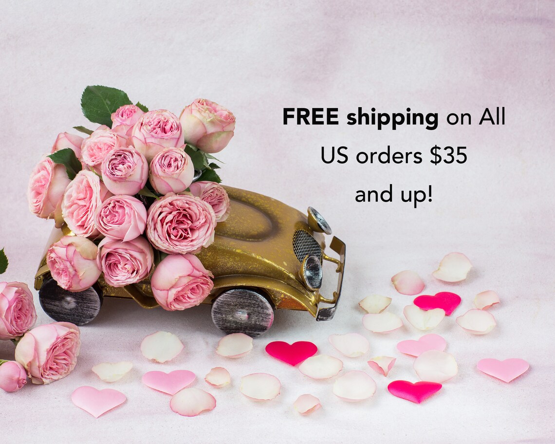 Natural Pink Peegee Hydrangea Wedding Flowers Home Decor - Etsy