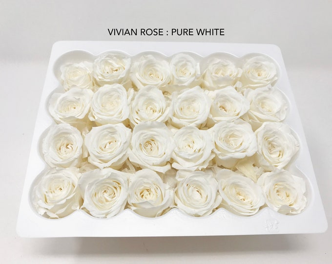 Pure White Qty 24 Vivian Rose Preserved Roses White Roses - Etsy