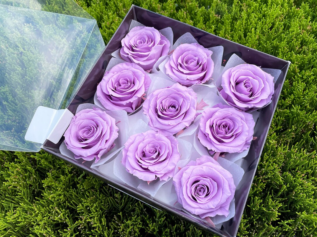 Sweet Lilac Color Rose Medium Light Purple Preserved Rose DIY Floral ...