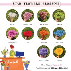 Cobalt Blue Star Flower Blossom Floral Arrangement Dried Flower ...