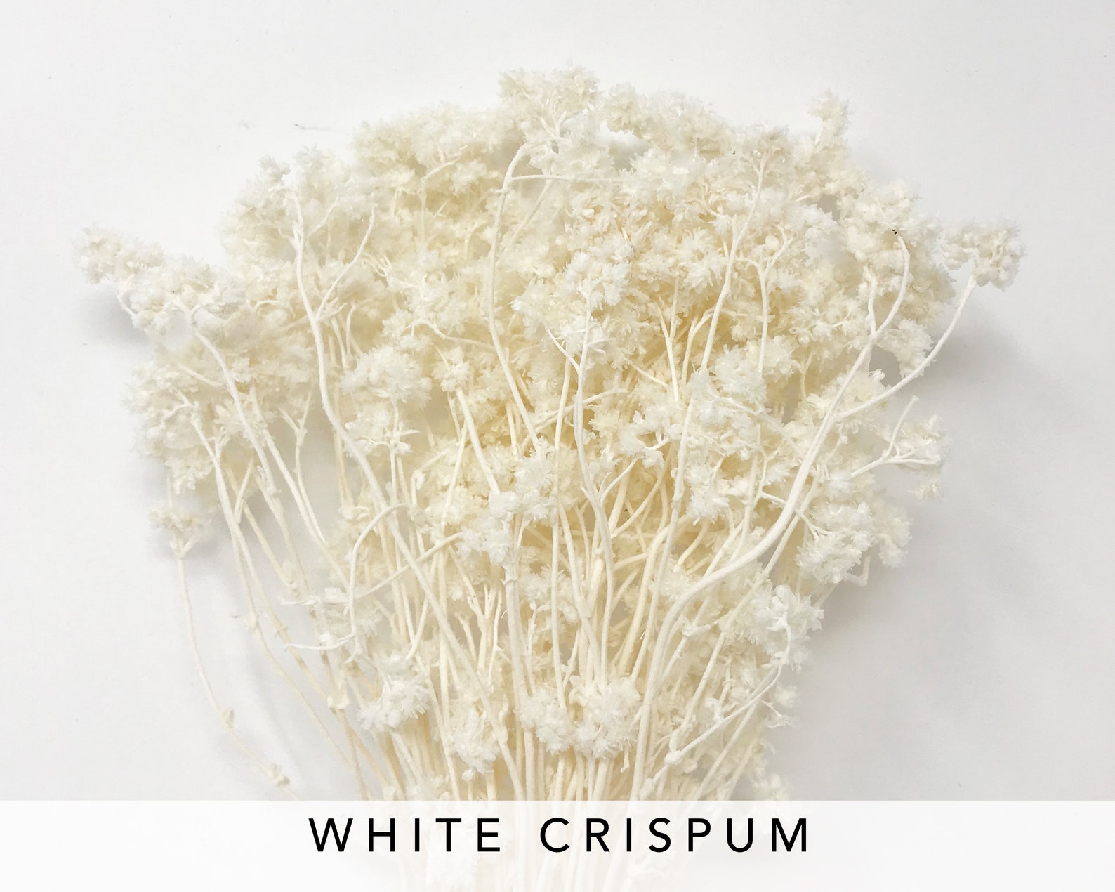 Crispum White Flower DIY Floral Arrangement Wedding Decor Home Flower ...