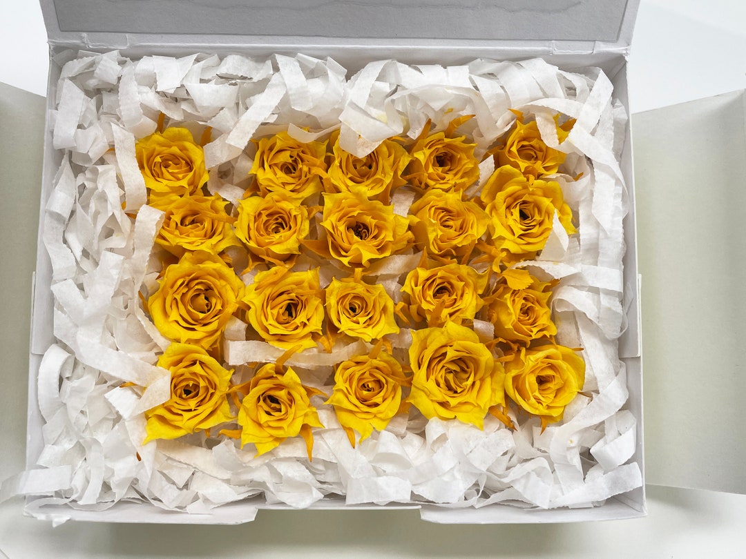 Golden Yellow Preserved Rose Micro Tiny Rose Preserved Flower Home ...