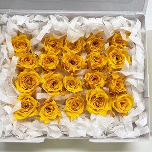 Golden Yellow Preserved Rose Micro Tiny Rose Preserved Flower Home ...