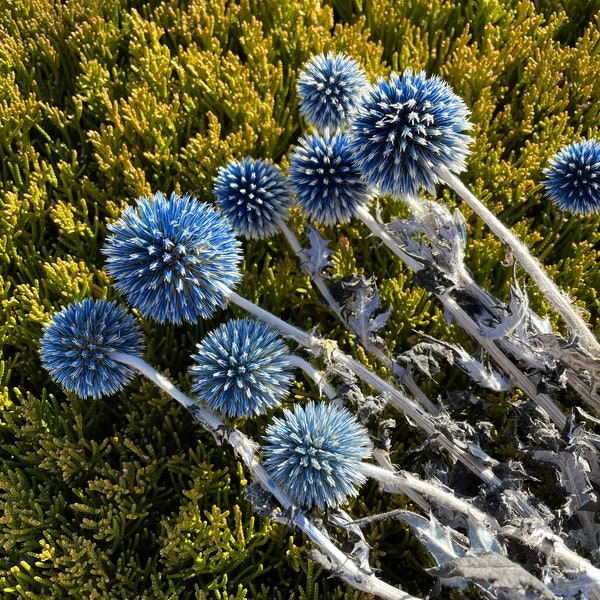 Blue Dried Flowers - Etsy