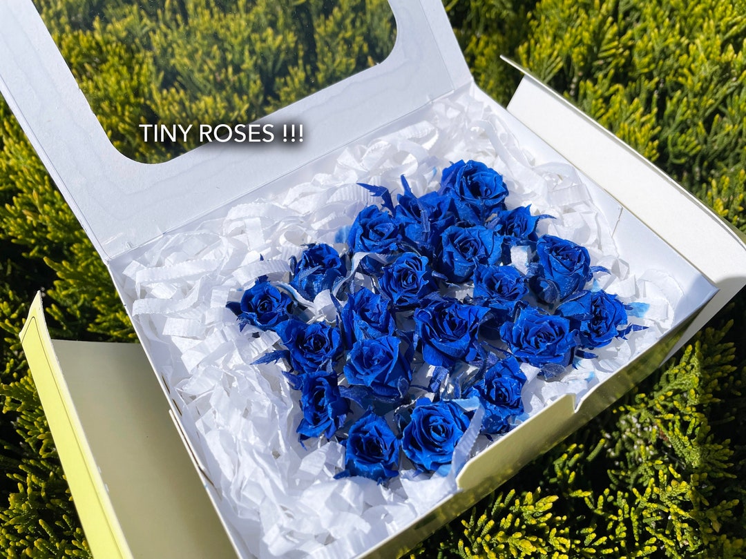 0.375 Inch Grand Blue Rose Tiny MICRO Preserved Rose SMALL - Etsy
