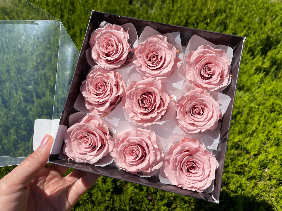 9 Mauve Pink Rose Preserved Rose Dry Flower Wedding Rose - Etsy