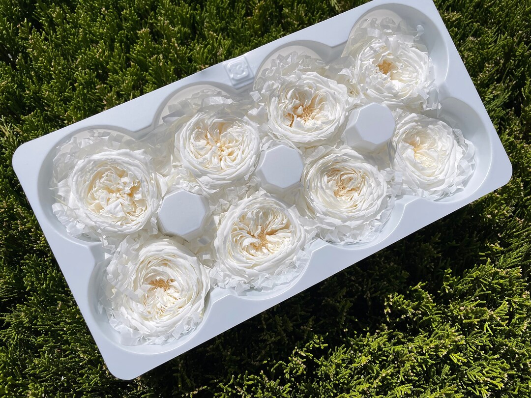 White Rose Temari DIY White Floral Arrangement White Dried Flower ...