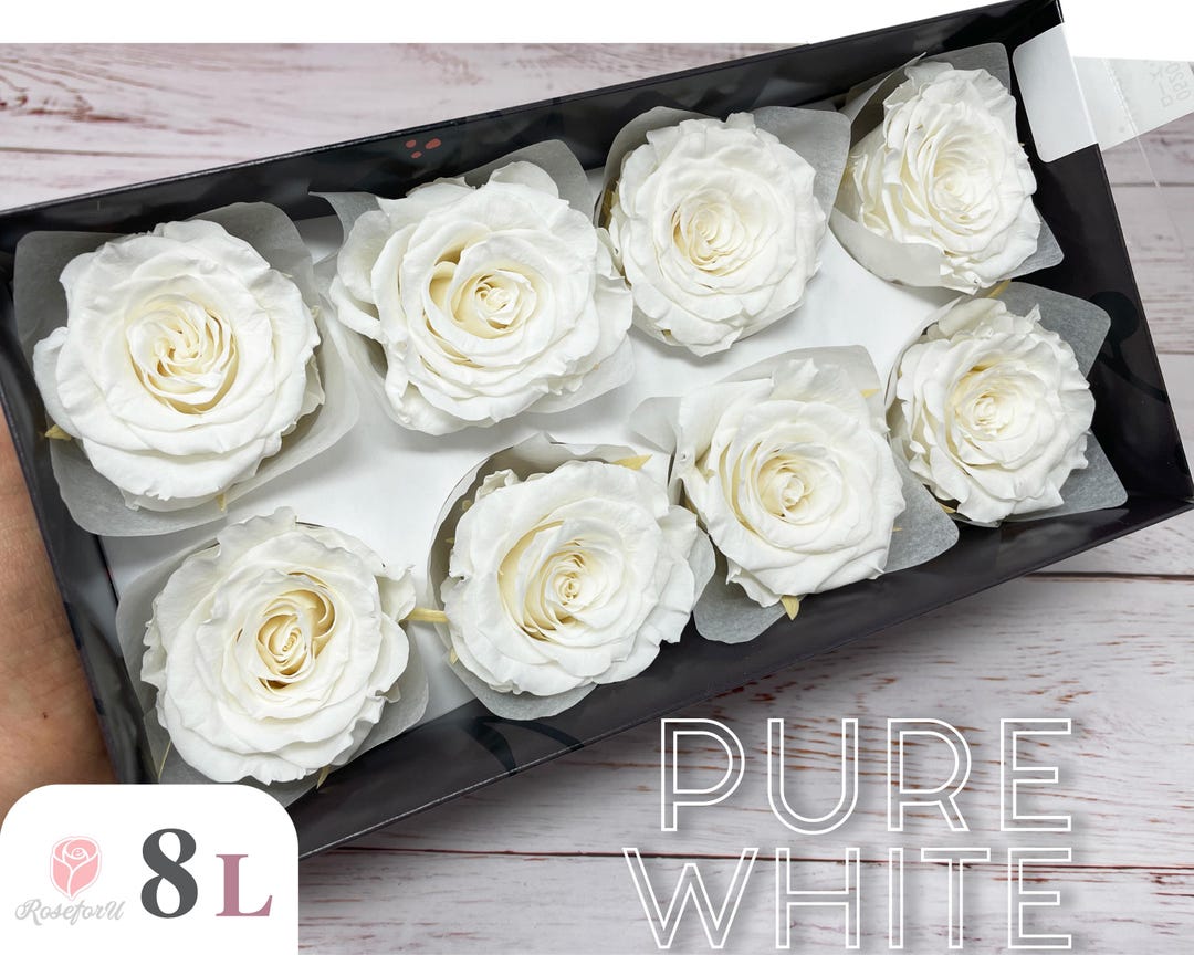 White Preserved Rose White Wedding Rose Large Floral Arrangement Dry ...
