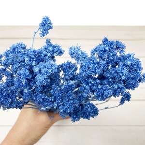 Soda Blue Crispum Dried Blue Flower DIY Home Decor Floral Arrangement ...