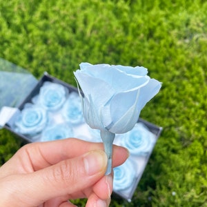 Baby Blue Rose Preserved Floral Arrangement Luxury Blue Baby Shower ...
