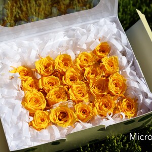 Golden Yellow Preserved Rose Micro Tiny Rose Preserved Flower - Etsy