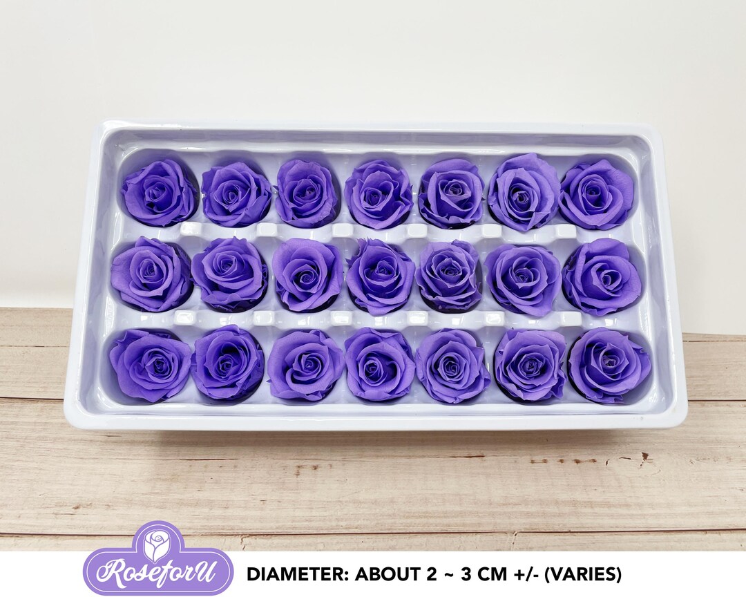 Lavender-purple Preserved Roses in a Box Small Wedding Decor Floral ...