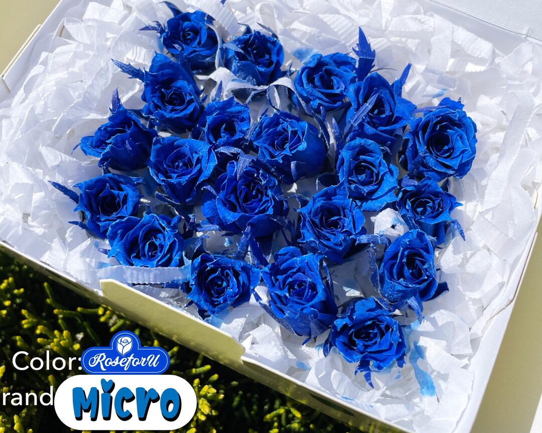 0.375 Inch Grand Blue Rose Tiny MICRO Preserved Rose SMALL Floral ...