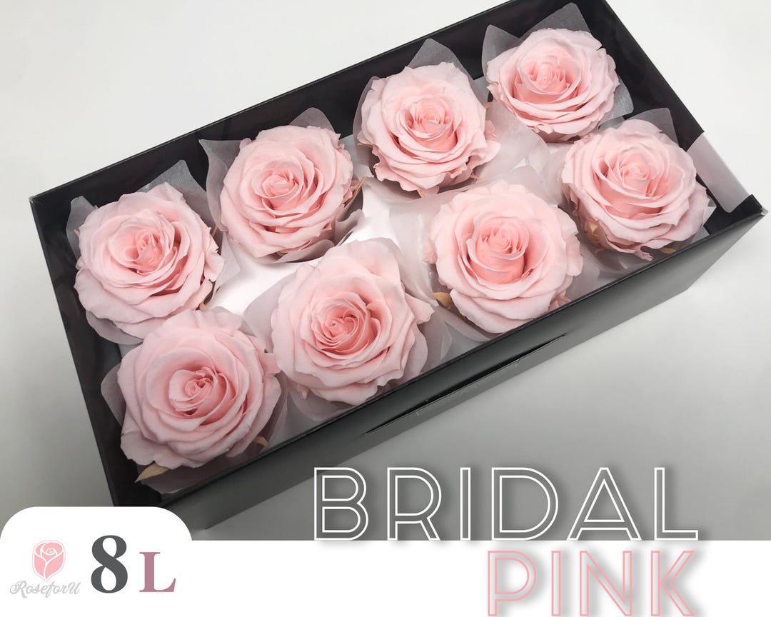 Bridal Pink Rose Preserved Wedding Rose Qty 8 Pink Flower Arrangement ...