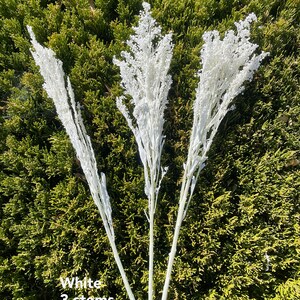 White Solidago White Dried Flower Preserved White Flower Home Decor Dry ...