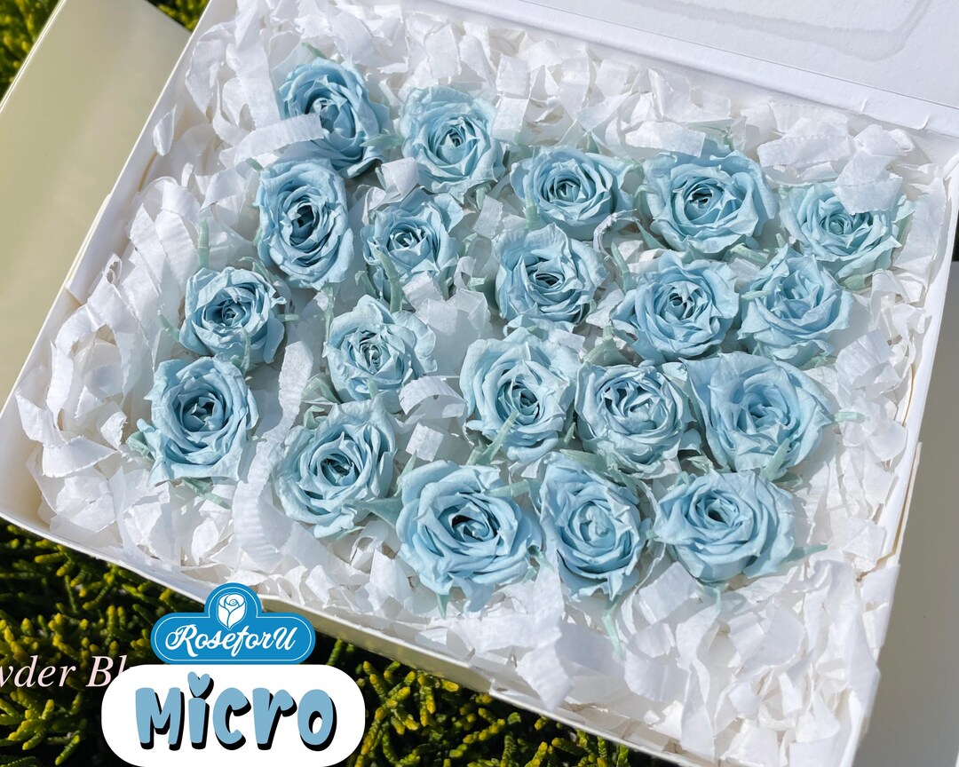 Small Powder Blue Preserved Rose Real Micro Rose Preserved Flower Home ...