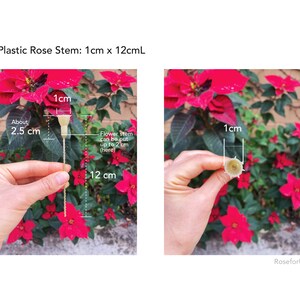 12 Stems About 4.72 Inch Length Rose Stems Plastic Stem for Preserved ...