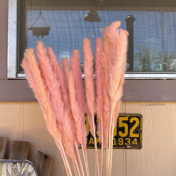 Pink Pampas - Etsy