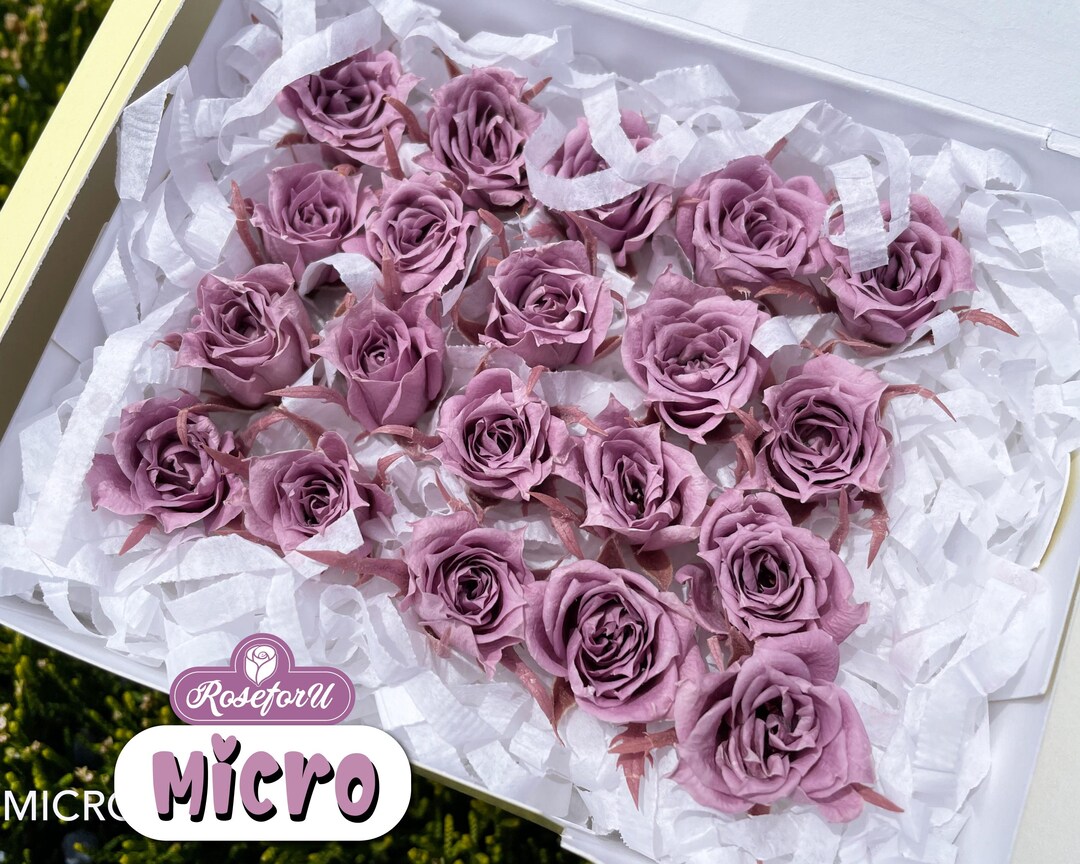 Lavender Color Rose Qty 20 MICRO Preserved Rose Preserved Flower ...