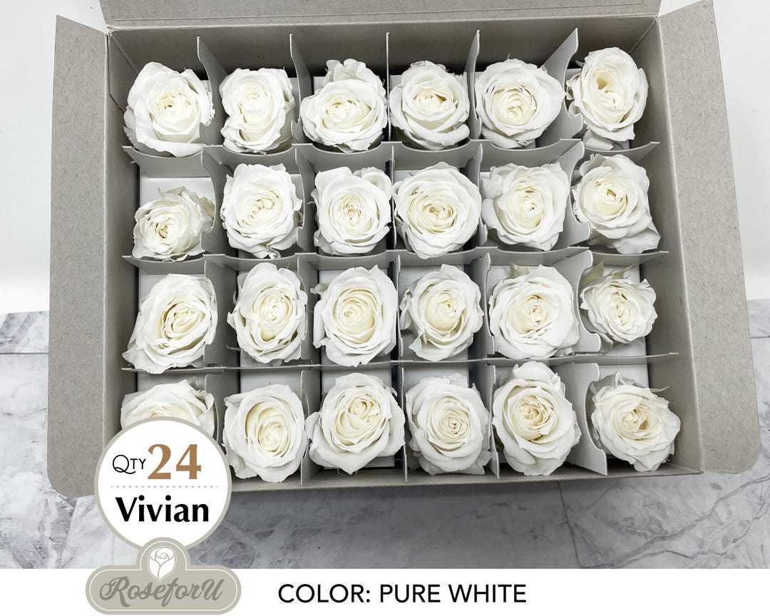 Pure White Qty 24 Vivian Rose Preserved Rose White Rose Dried Preserved ...