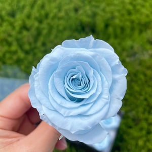 Baby Blue Rose Preserved Floral Arrangement Luxury Blue Baby Shower ...