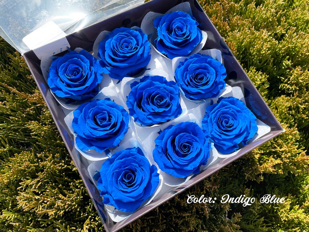 Indigo Blue Rose Qty 9 Blue Preserved Rose Wedding Rose Groom DIY Home ...