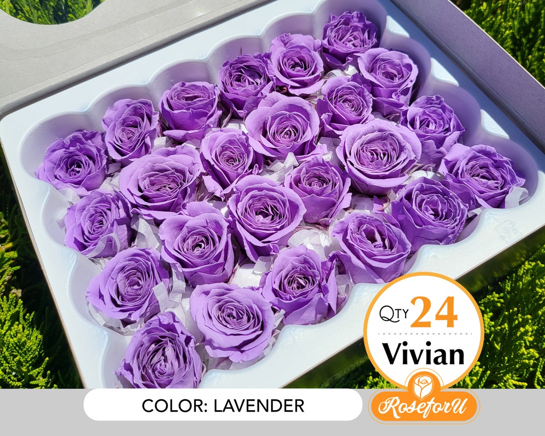 Lavender Vivian Rose Preserved Purple Rose Preserved Flower - Etsy