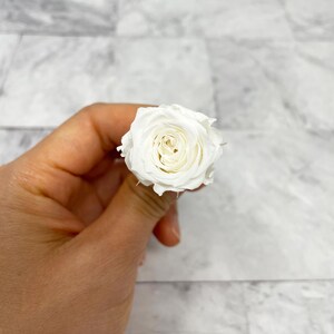Pure White Qty 24 Vivian Rose Preserved Rose White Rose Dried Preserved ...