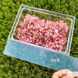 Natural Pink Peegee Hydrangea Wedding Flower Home Decor Pink Floral ...