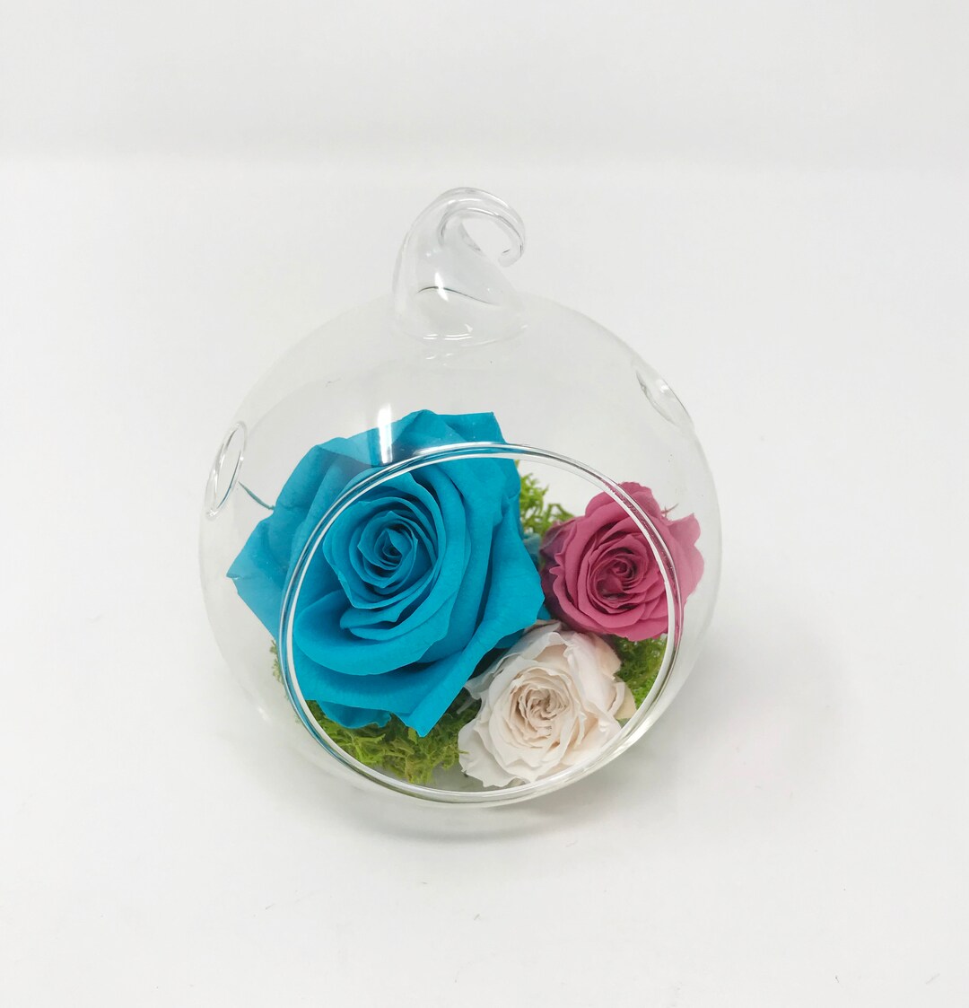 Plastic Terrarium / Preserved Roses Case, Dome, Flower Case, Gift Box ...