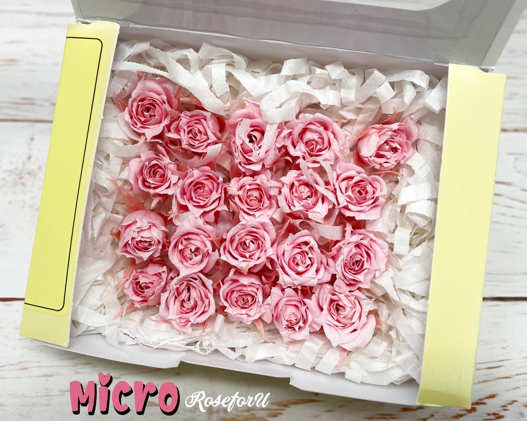 Baby Pink Preserved Rose Micro Tiny Rose Home Decor Preserved Flower ...