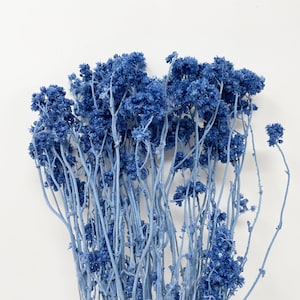 Soda Blue Crispum Dried Blue Flower DIY Home Decor Floral Arrangement ...