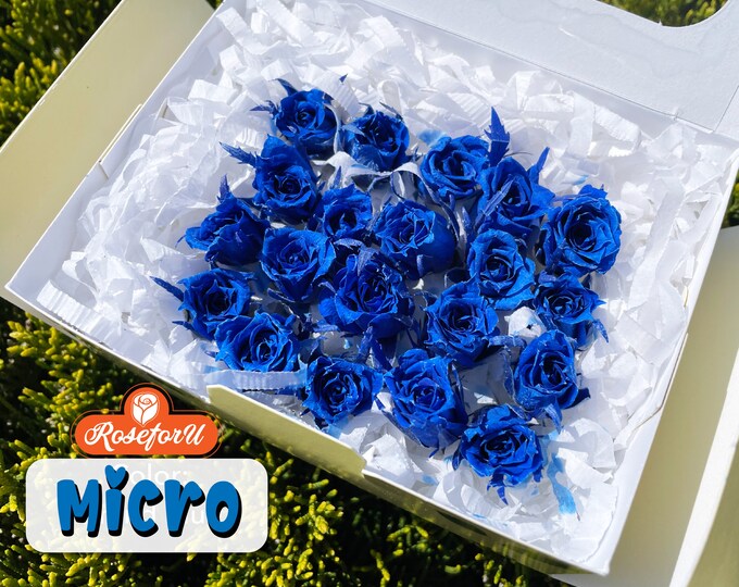 0.375 Inch Grand Blue Rose Tiny MICRO Preserved Rose SMALL Floral ...