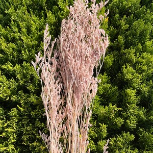 Caspia PINK BEIGE Floral Arrangement Dried Flower Gift Pink Dry Flower ...